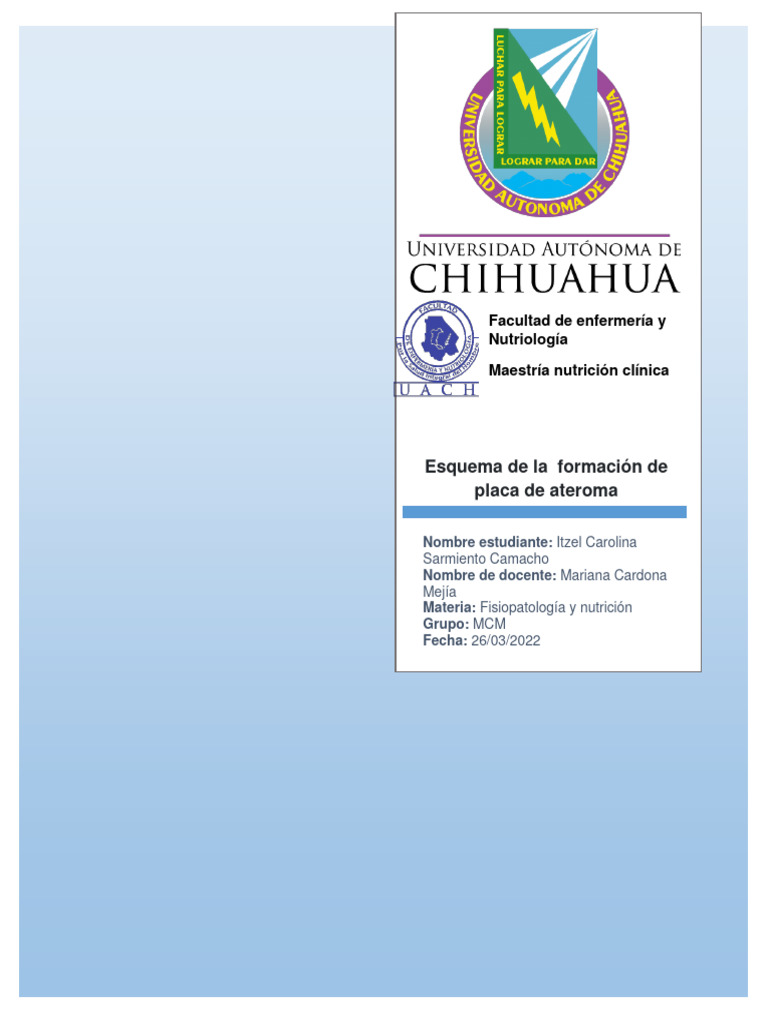 Formacion de Placa de Ateroma | PDF | Endotelio | Inflamación
