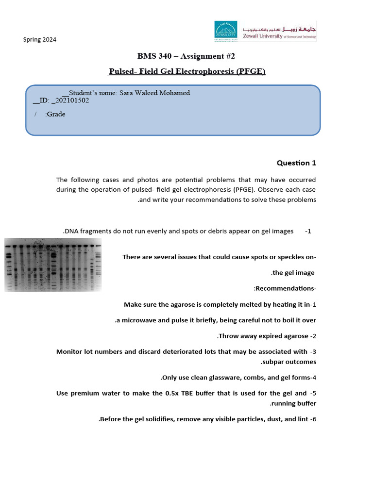 Assignment 2 | PDF | Agarose Gel Electrophoresis | Gel Electrophoresis