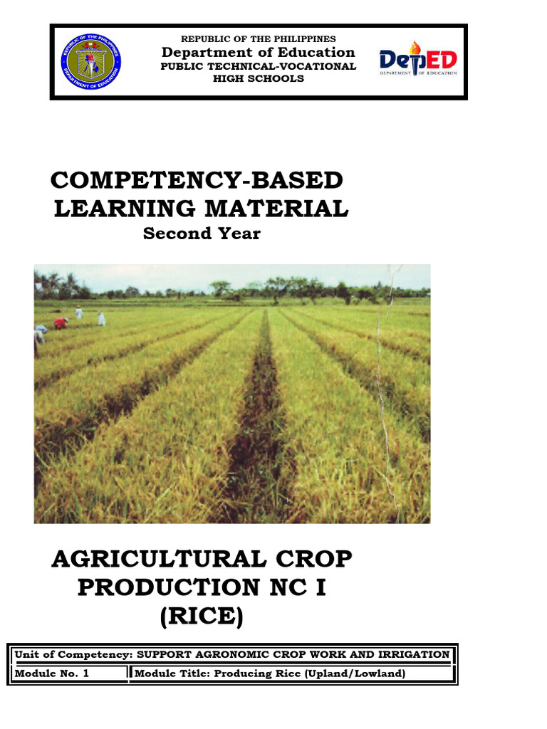 Y2 - Module 1 - Producing Rice | PDF | Rice | Seed