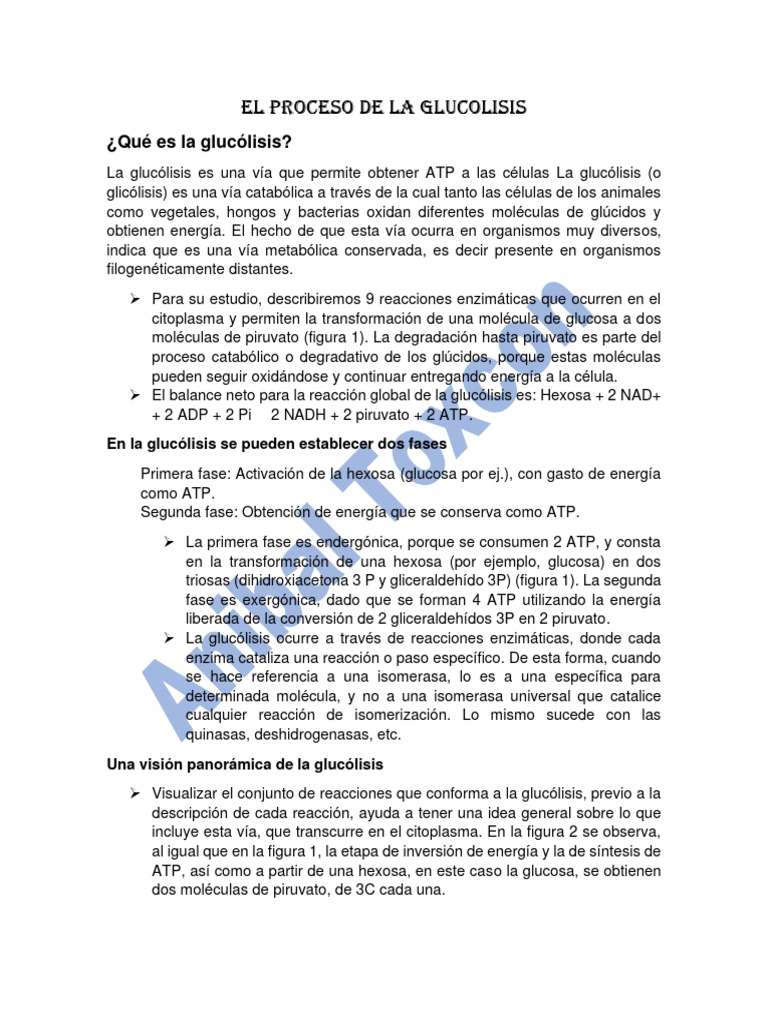 Proceso y Reacciones de la Glucólisis | PDF | Glucólisis | Trifosfato ...