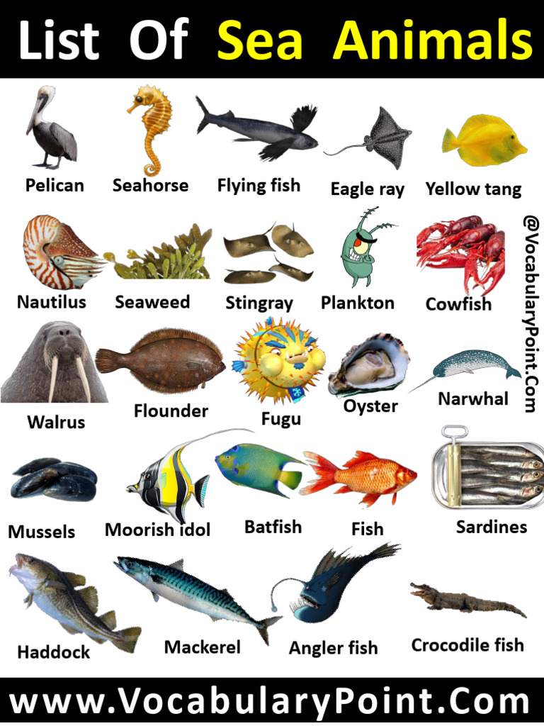 Sea Animal Vocabulary List | PDF