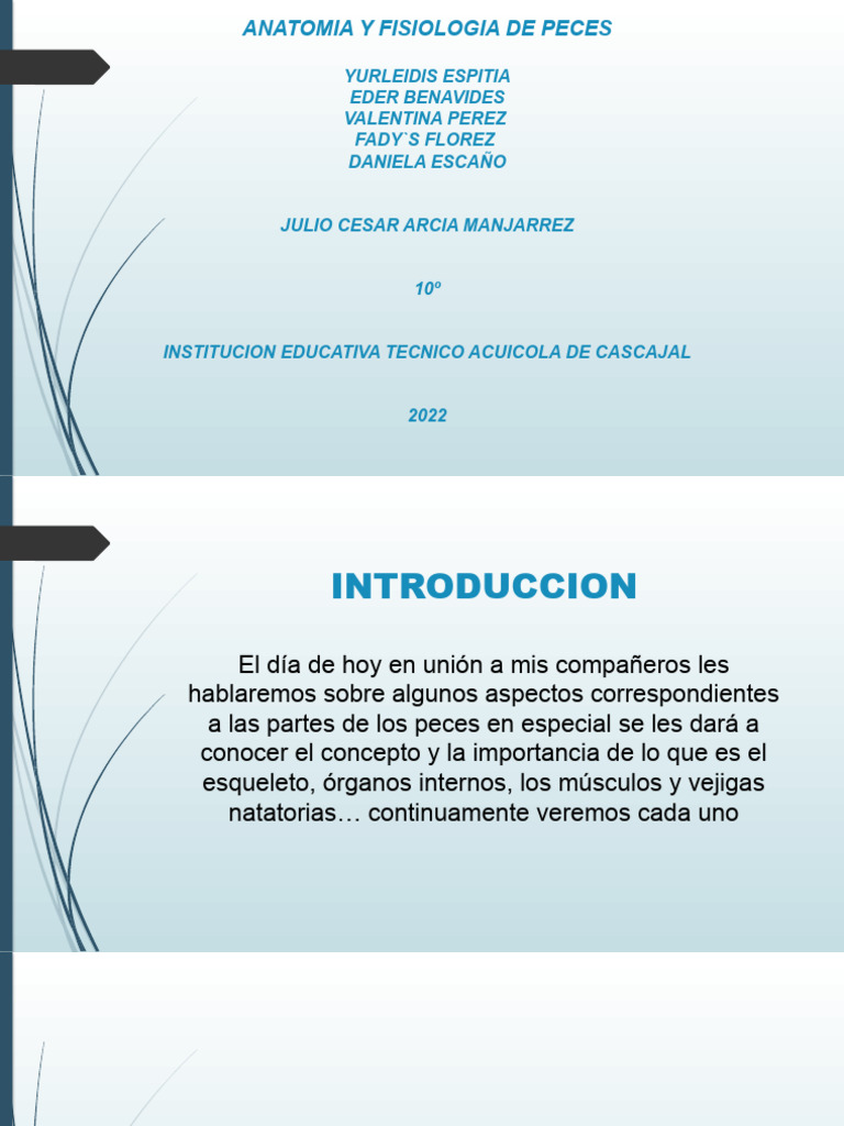Anatomía y Funciones de los Peces | PDF | Esqueleto | Branquia