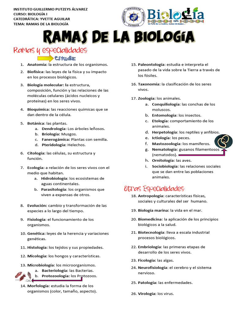 Ramas de la Biología y su Clasificación | PDF | Biología | Organismos