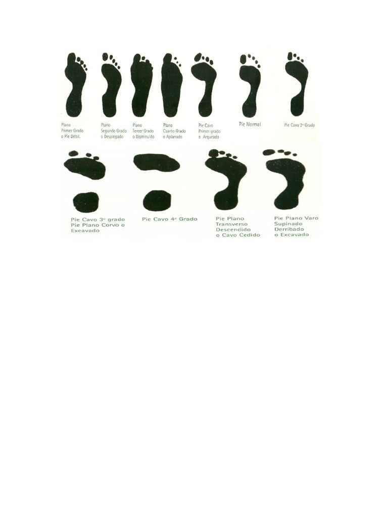 Huellas Plantares | PDF