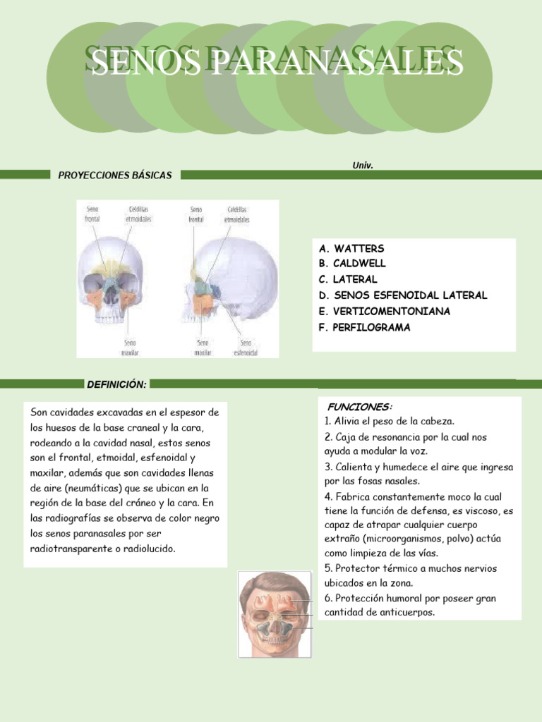 Proyecciones de Senos Paranasales | PDF | Cráneo | Cabeza y cuello humanos