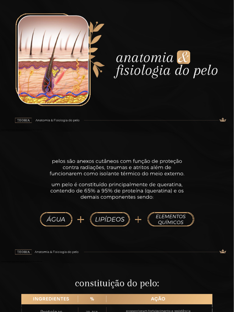 Anatomia e Fisiologia do Pelo | PDF | Cabelo | Ph