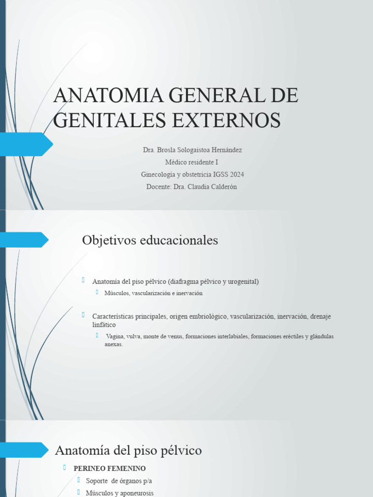 ANATOMIA GENERAL DE GENITALES EXTERNOS (1) | PDF | Vagina | Labios