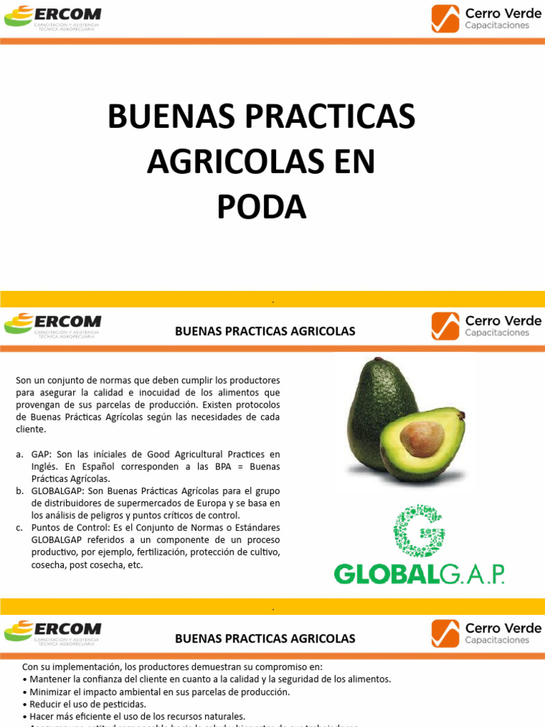 8 Buenas Practicas de Poda | PDF | Agricultura | Cosecha