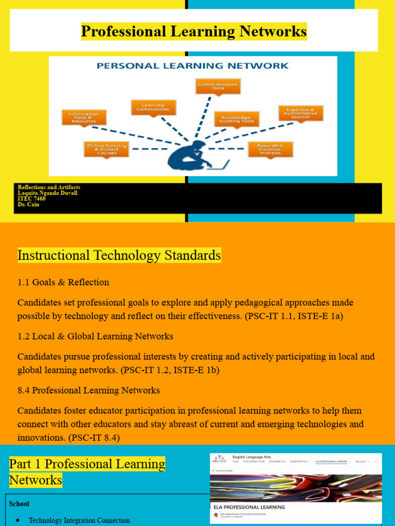 Professional Learning Networks | PDF | Teachers | Educational Technology