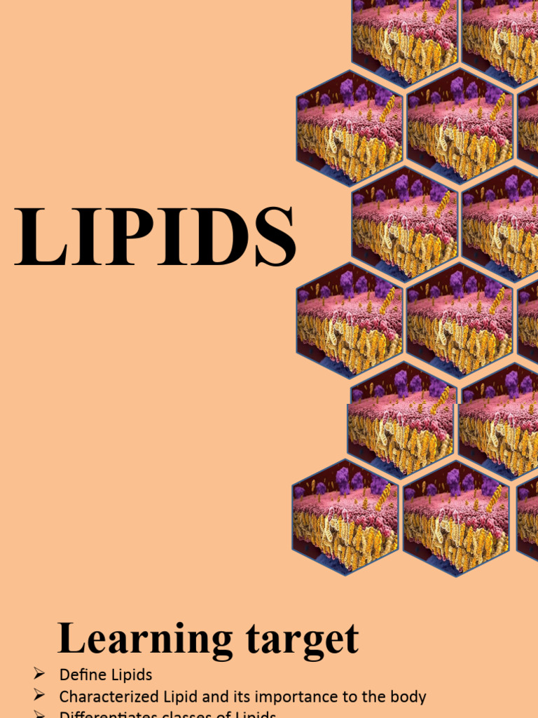 Lipids | PDF | Fatty Acid | Lipid