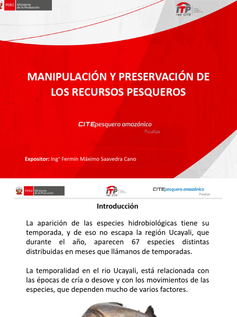 Presentación 2 - Manipulación y Preservación de Los Recursos Pesqueros | PDF | Saneamiento | Agua