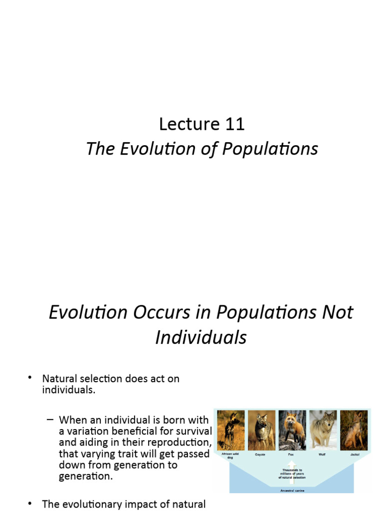 Lecture 13 - Evolution of Populations - HardyWeinberg - Mechanisms of ...