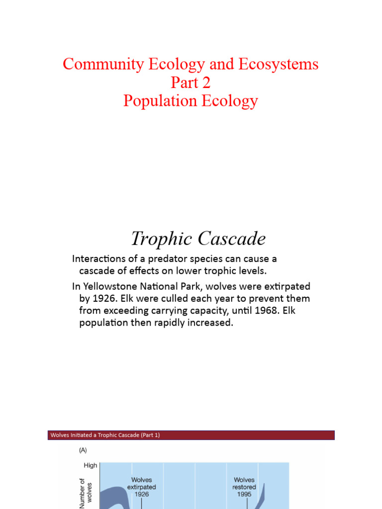 Ecology Part 2 - Ecosystems and Population Ecology | PDF ...