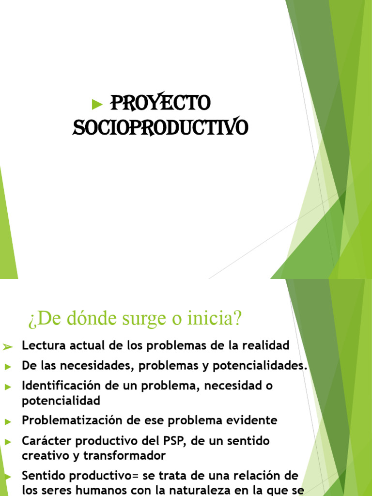 Proyecto Socioproductivo-1 | PDF | Plan de estudios | Evaluación