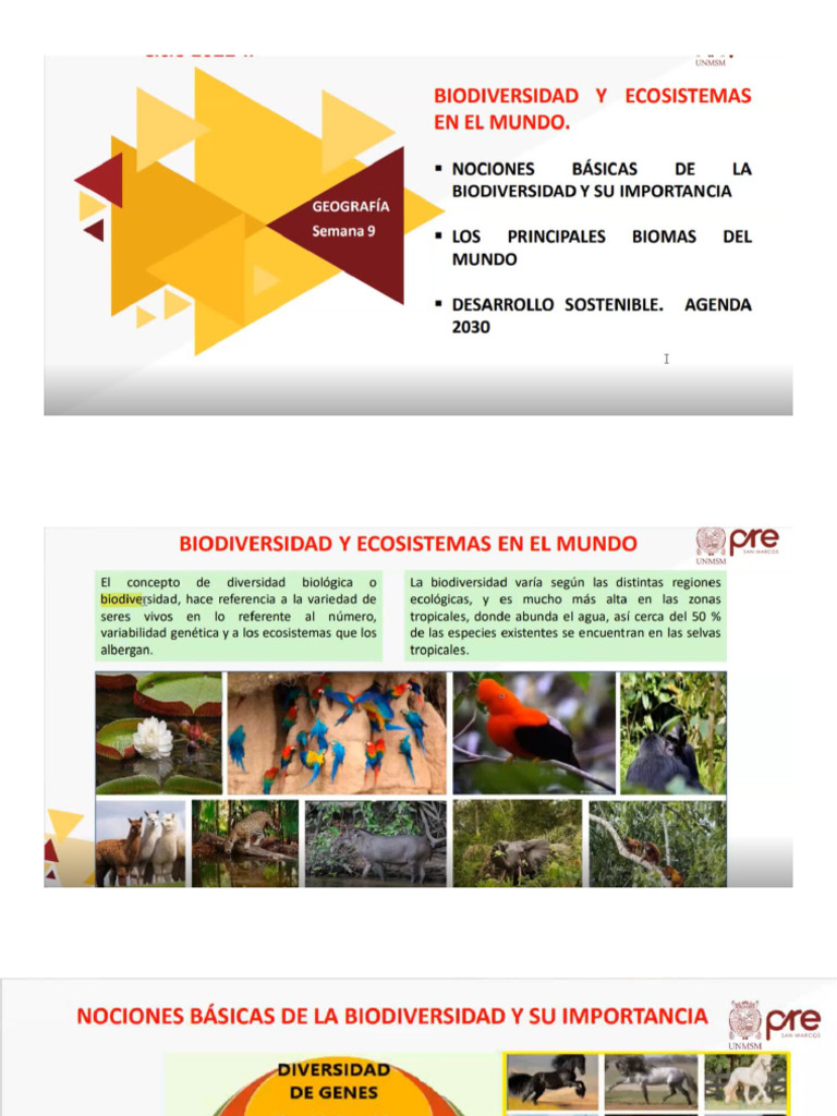 Geografía Sem9 (Biodiversidad y Ecosistemas Del Mundo) | PDF