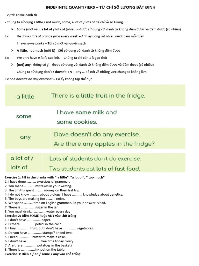 #8 INDEFINITE QUANTIFIERS | PDF