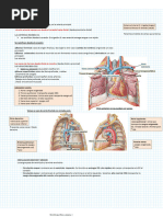 Reflejos Bainbridge 1 | PDF | Corazón | Nervio vago
