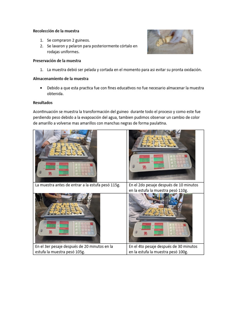Recolección de la muestra Practica 3 Lab 3 | PDF