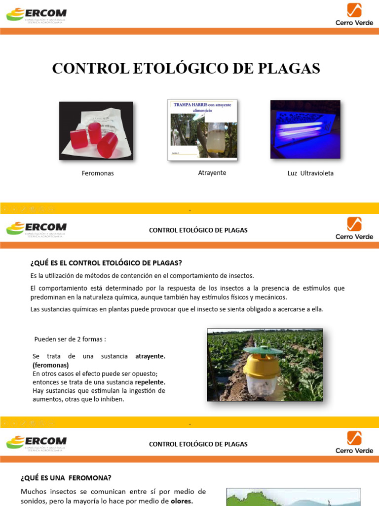 Control Etologico de Plagas - 12 Ene | PDF | Feromona | Insectos