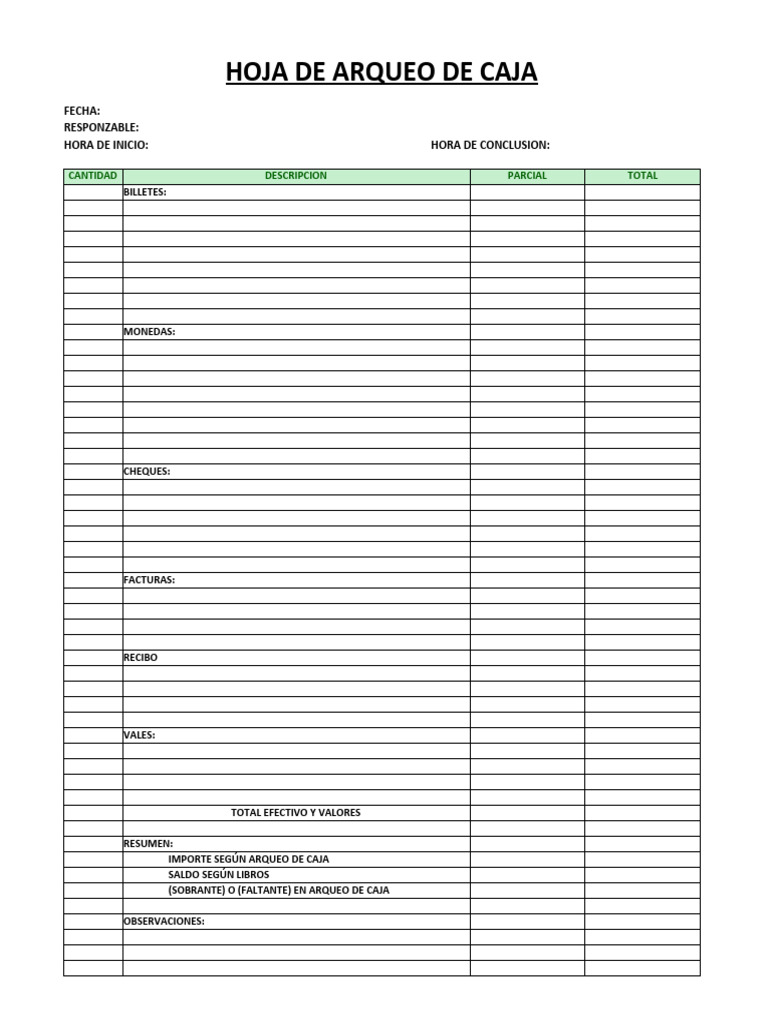 Formato de Arqueo de Caja Diario | PDF