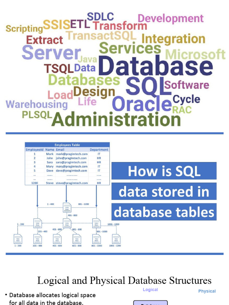 Lecture 03 Storage | Download Free PDF | Databases | Database Index