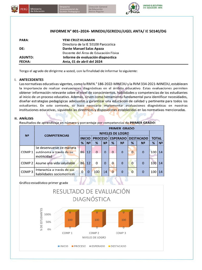Informe de Diagnostico para Anta | PDF