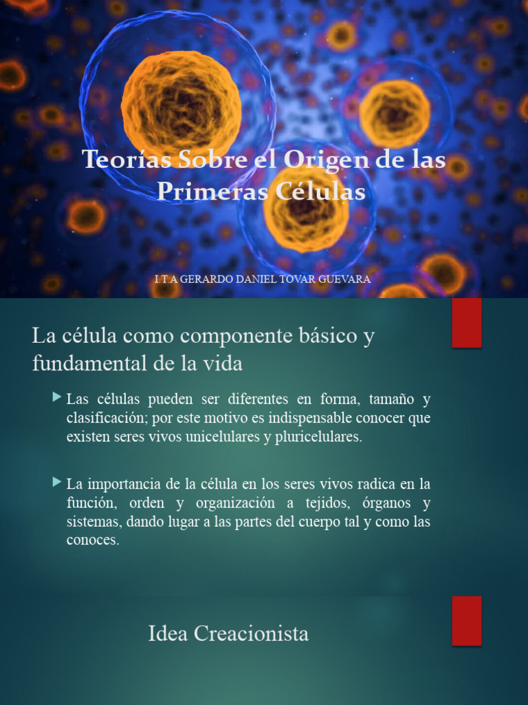 C16 Teorías Sobre El Origen de Las Primeras Células | PDF | Organismos ...