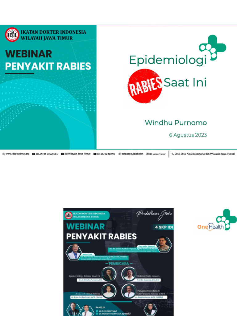 Epid Rabies PDF | PDF