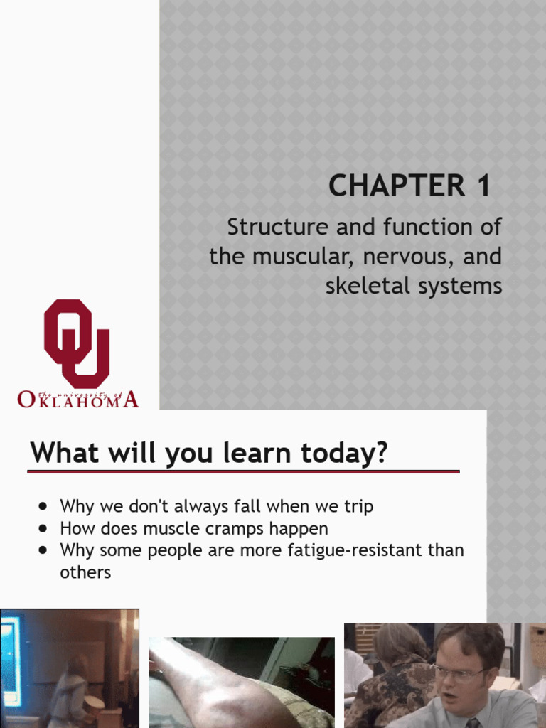 CH 1 Updated - Structure and Function of The Muscular, Nervous, and ...