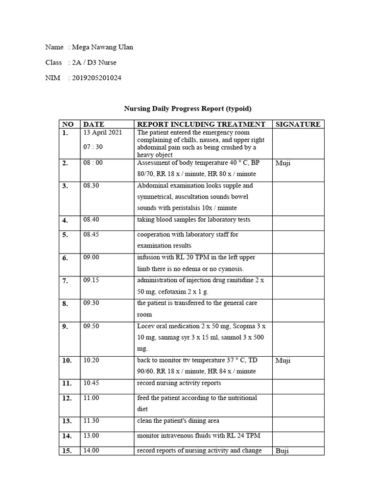Nursing Daily Progres Report - Mega Nawang Ulan | PDF | Intravenous Therapy | Nursing
