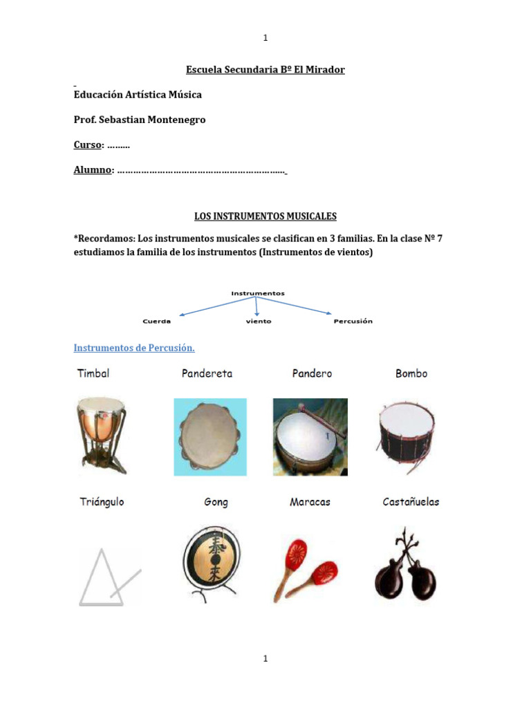 Instrumentos Musicales de Percusión | PDF | Arte