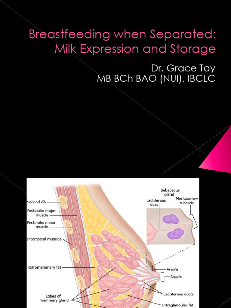 5. Breastfeeding Introduction_Grace Tay handout | PDF | Breast Milk | Breastfeeding