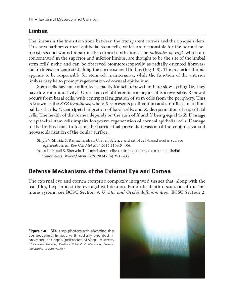 8.external Disease and Cornea AAO 2022-2023-33-36 MECANISMOS DE DEFENSA ...