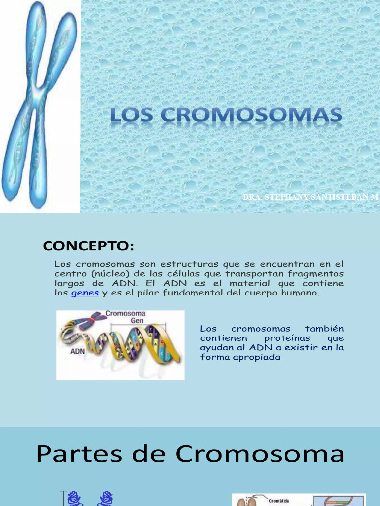 Tema 3 Los Cromosomas | PDF | Cromosoma | Trastorno genético