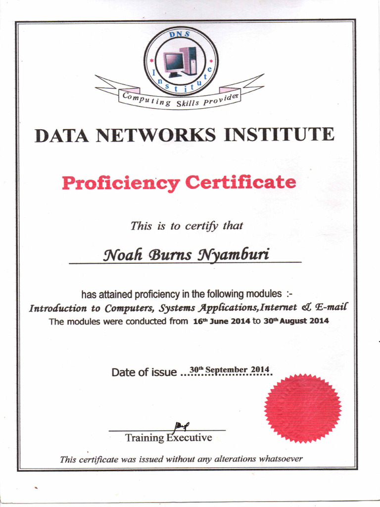 08 Data Network Institute Certificate | PDF