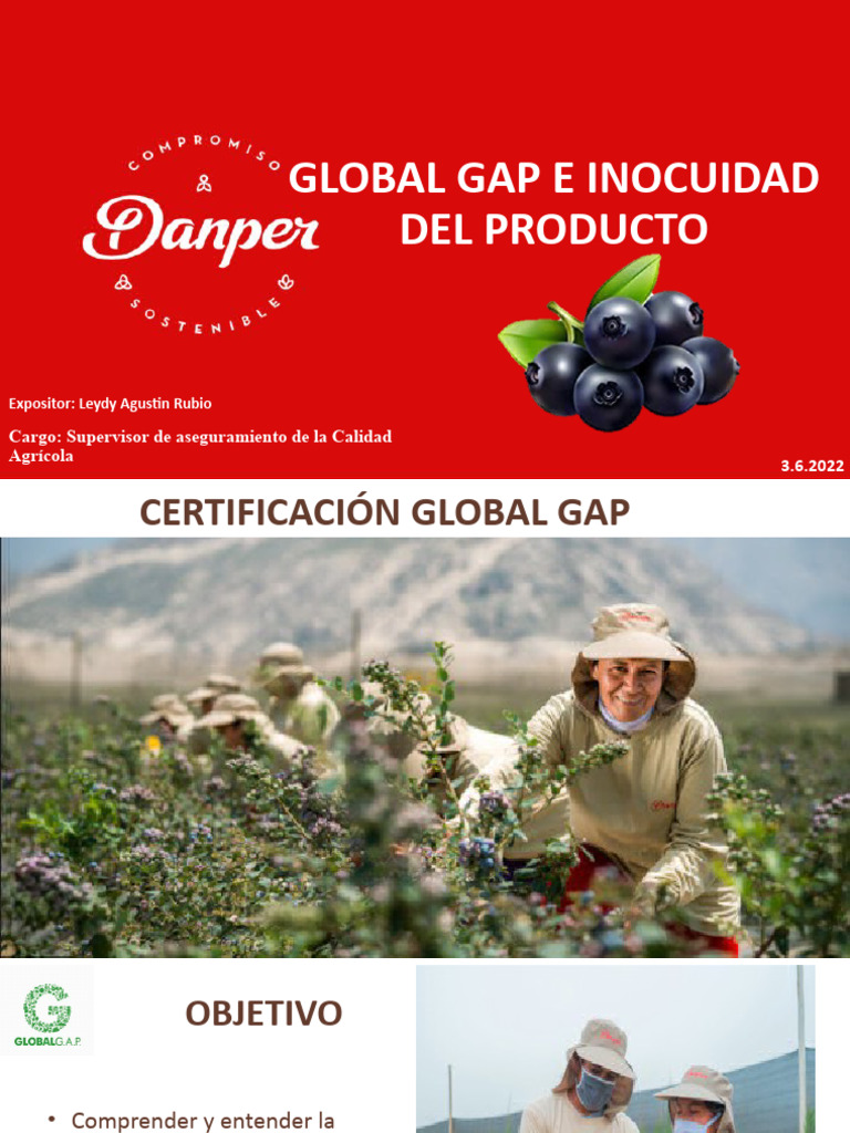 Certificación GLOBALGAP y Buenas Prácticas | PDF | Seguridad alimenticia | Alimentos