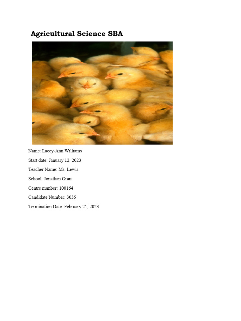 Broiler SBA | PDF | Poultry Farming | Broiler