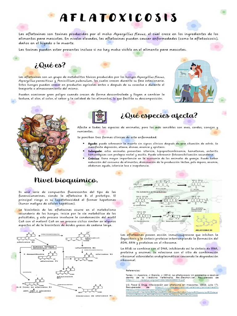 Cartel Aflatoxicosis. | PDF | Bioquímica | Química