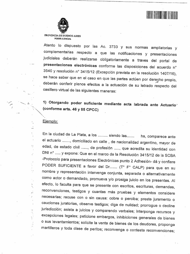 17.0 Acta Poder | PDF