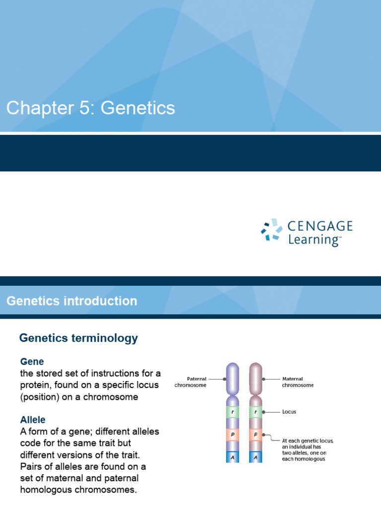 Genetics | PDF | Dominance (Genetics) | Genotype