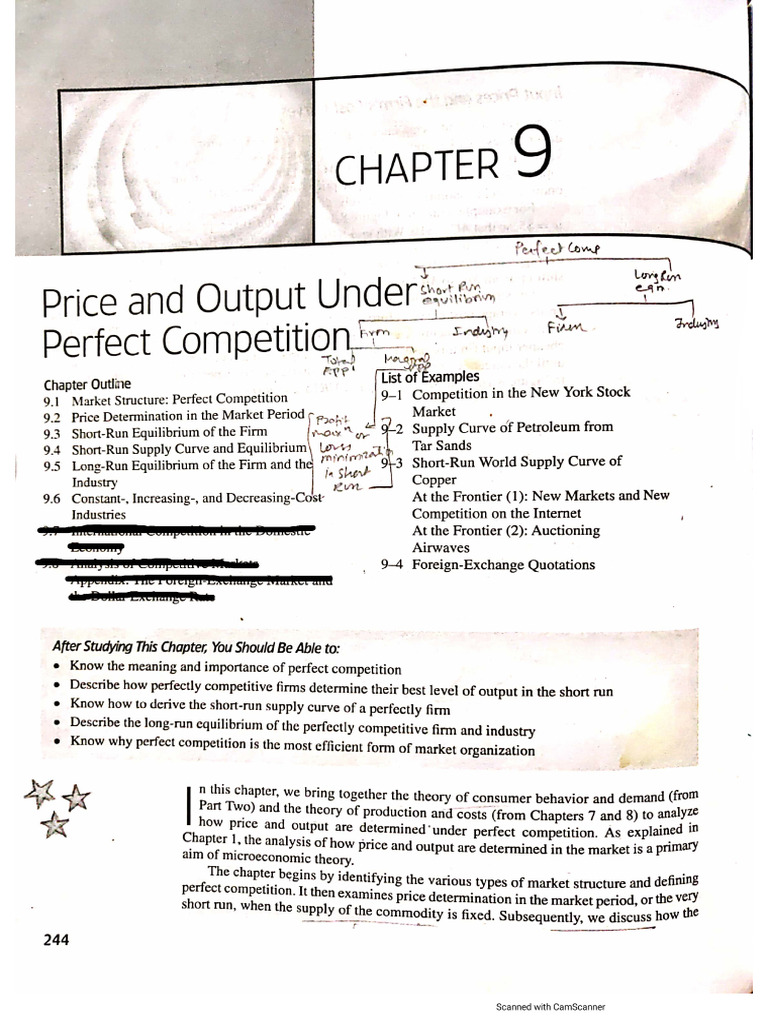 Chapter 9 Perfect Competition | PDF