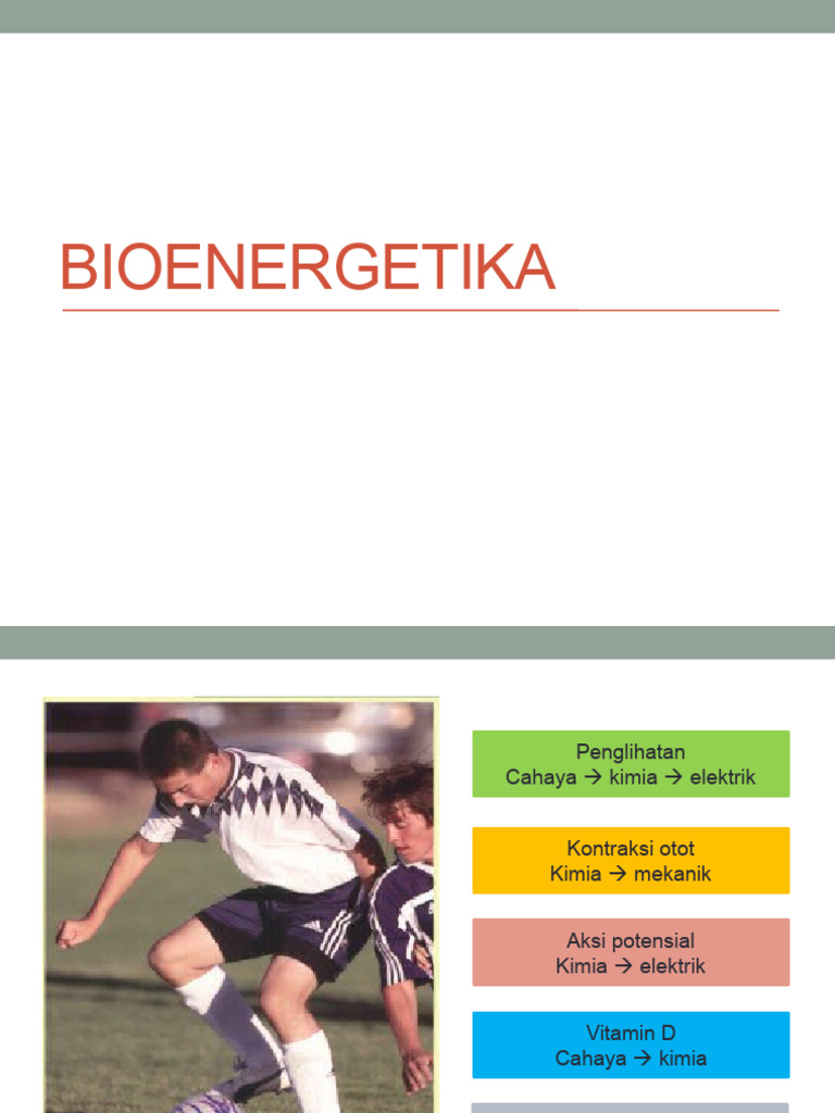 Pengantar Bioenergetika dan Termodinamika | PDF