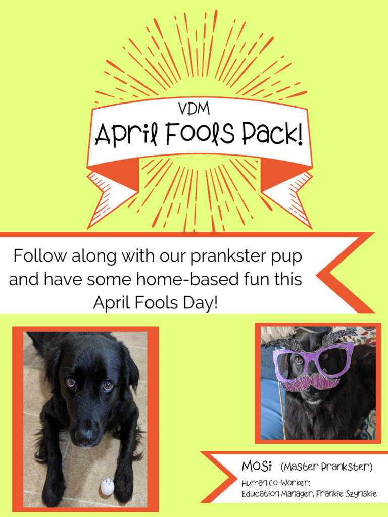 VDM VDM at Home April Fools Day Prank Pack | PDF