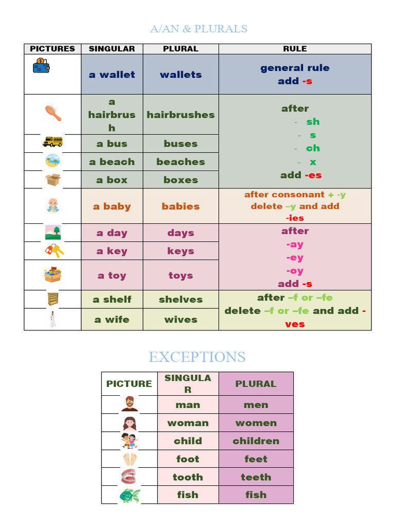 A-An and Plurals | PDF