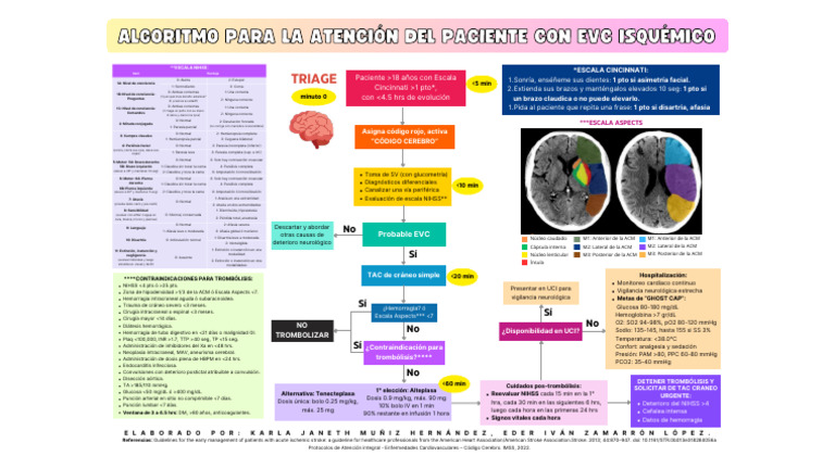 EVC Infografia | PDF | Medicina | Emergencias Médicas
