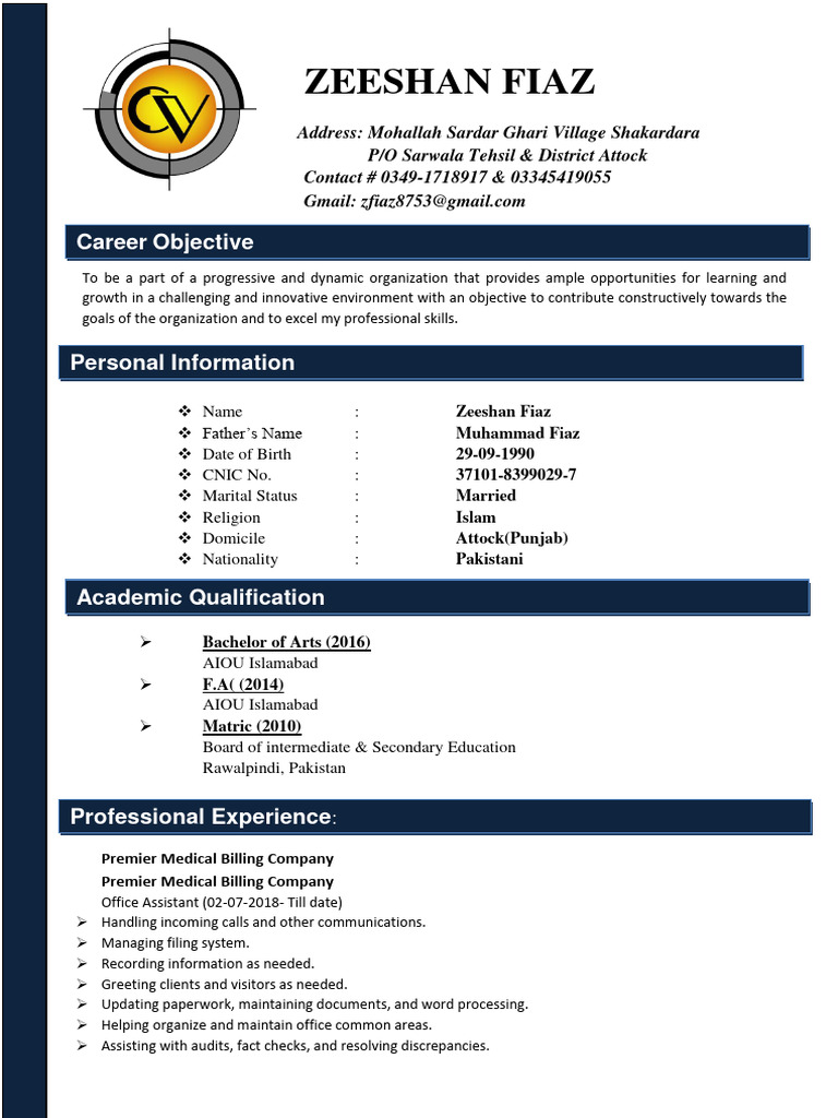 Zeeshan CV | PDF | Computer File | Computing