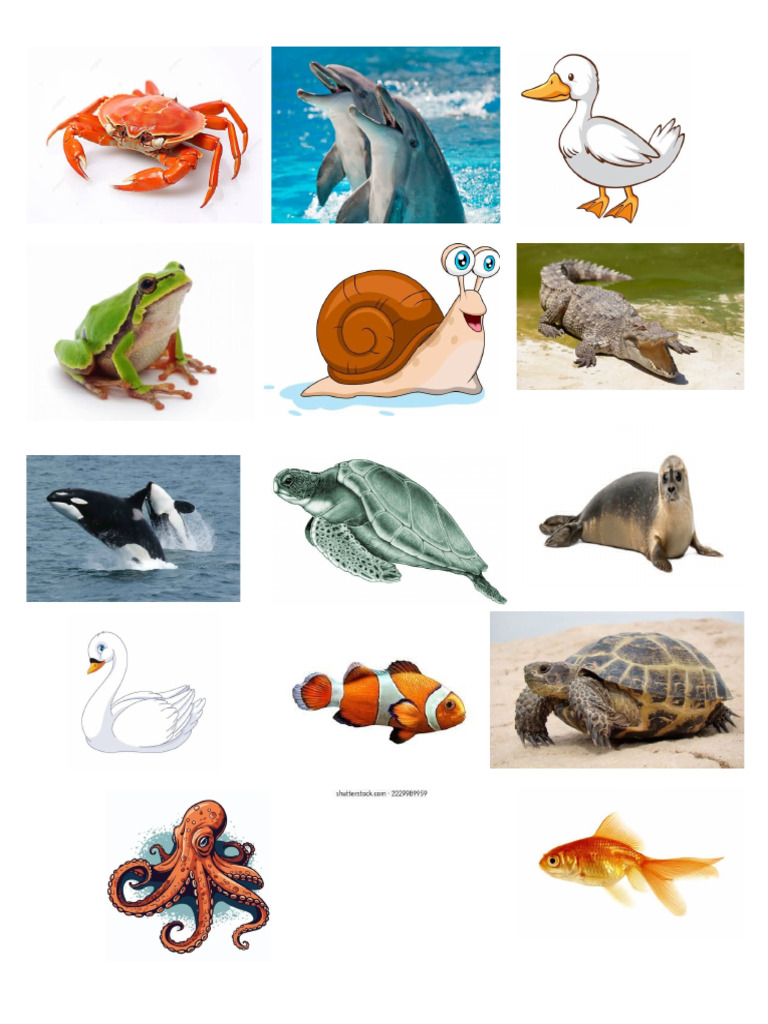 Animales Del Agua | PDF