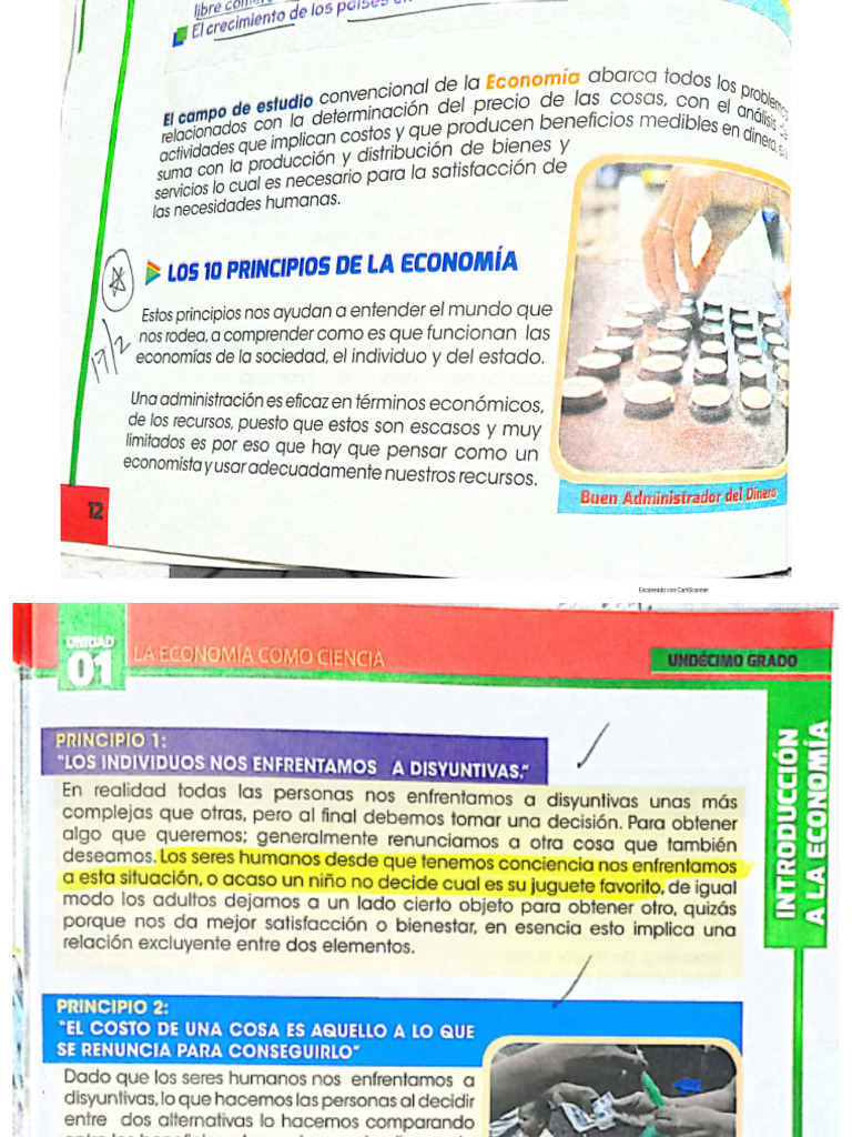 Tema Principios de Economia | PDF