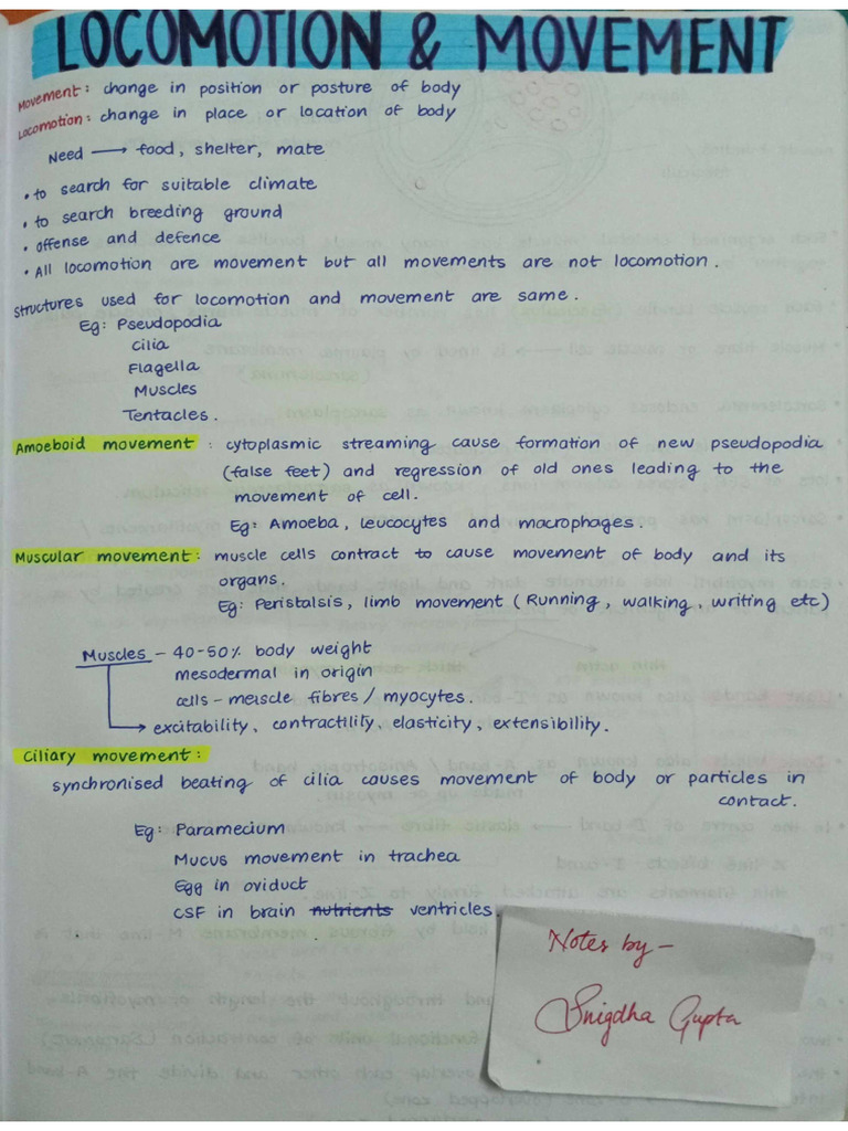 Locomotion and Movement (Handwritten) | PDF