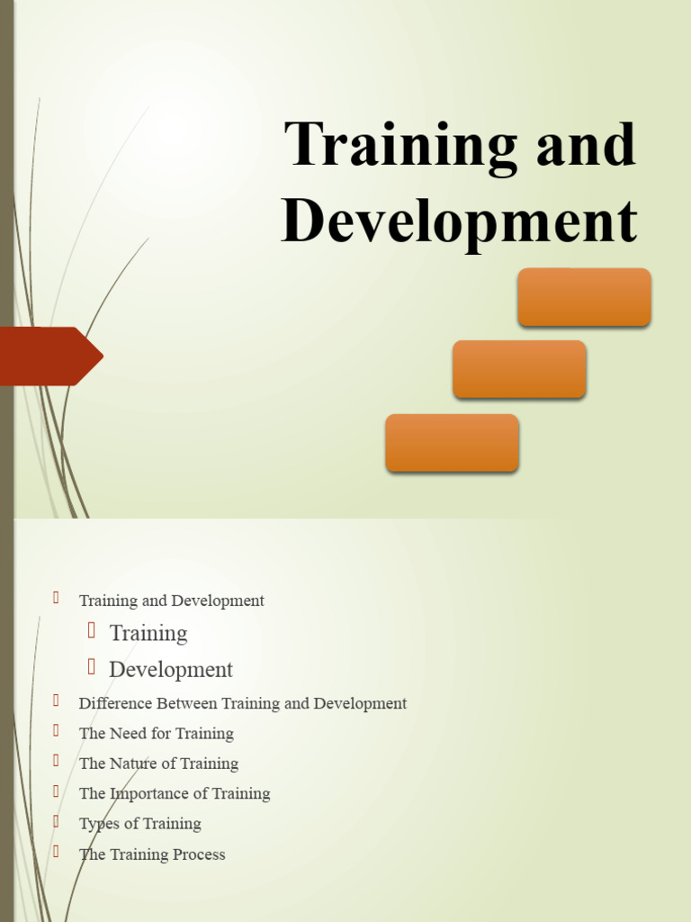 Chapter 3 Training and Development | PDF | Employment | Learning